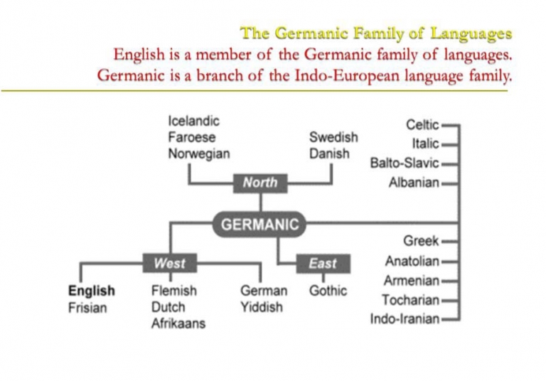 The+Germanic+Family+of+Languages+English+is+a+member+of+the+Germanic ...